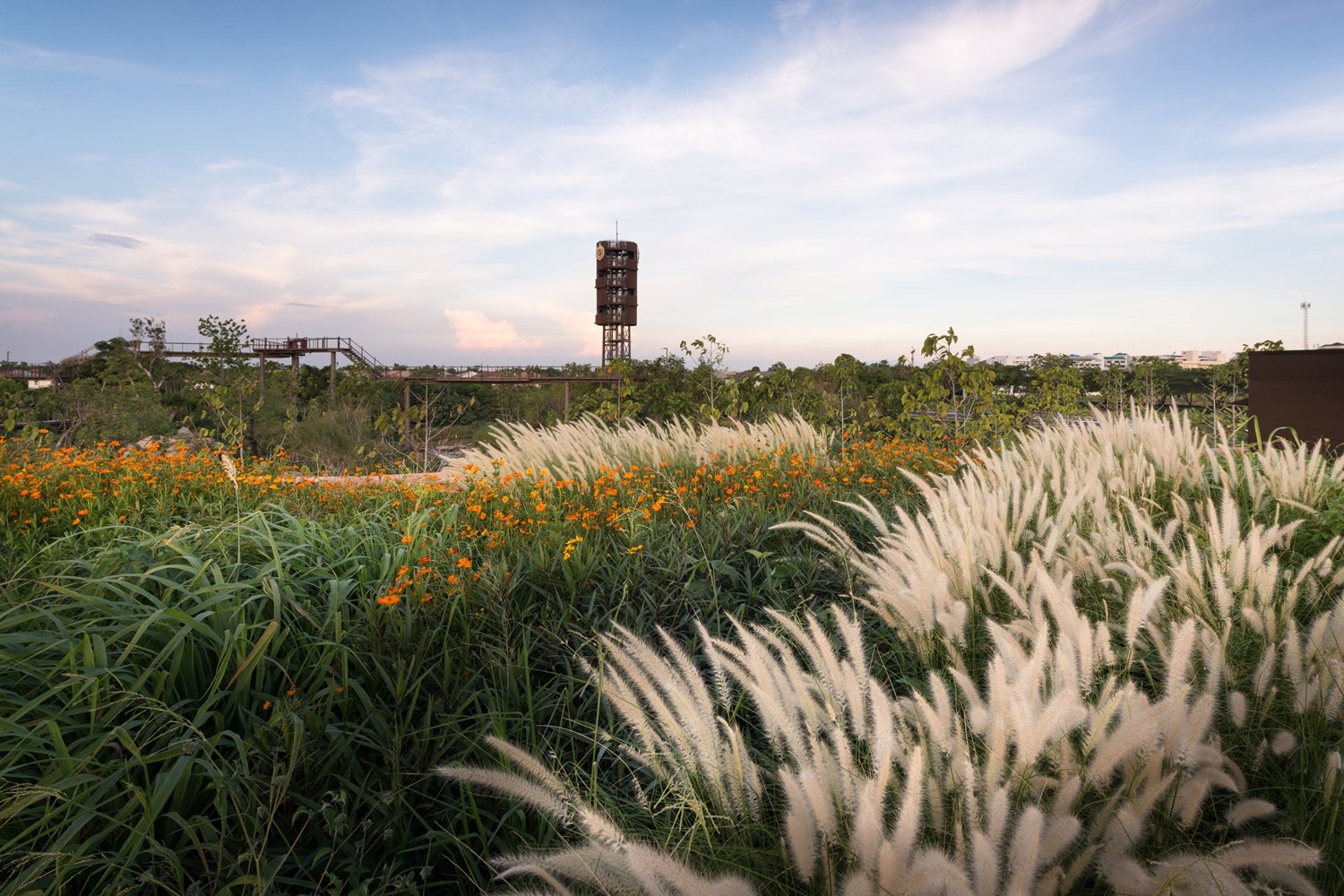 TK Studio Landscape Architecture | Planing