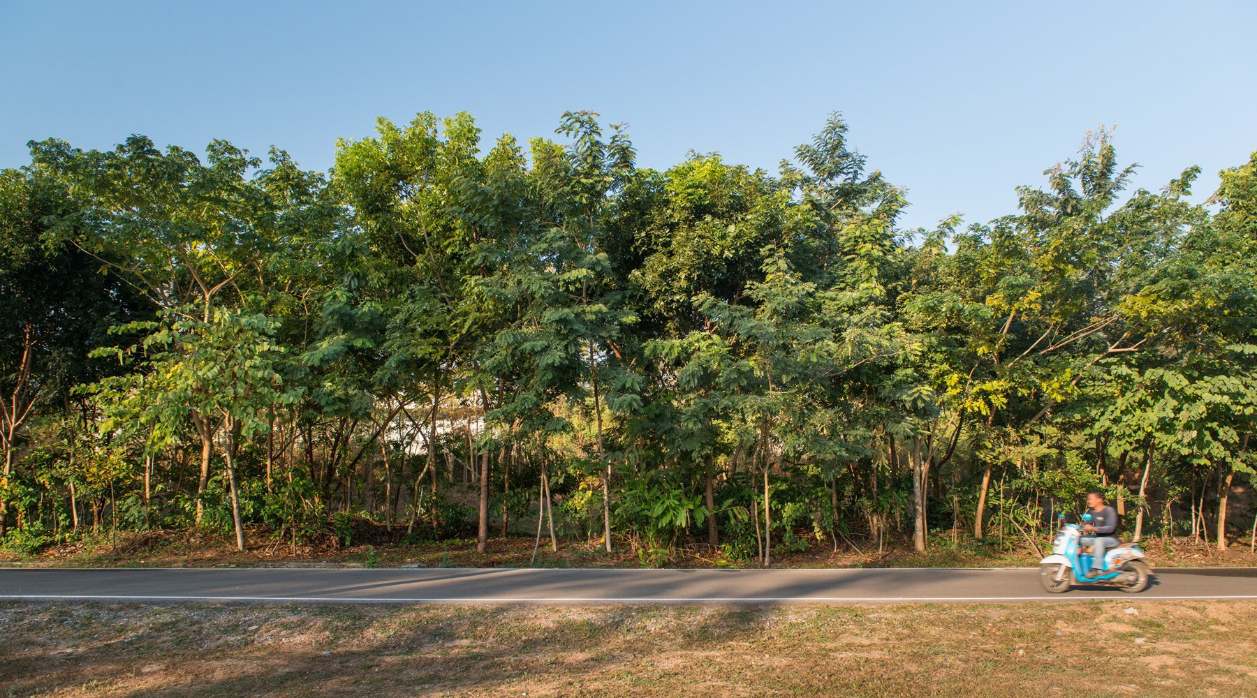 TK Studio Landscape Architecture | Planing