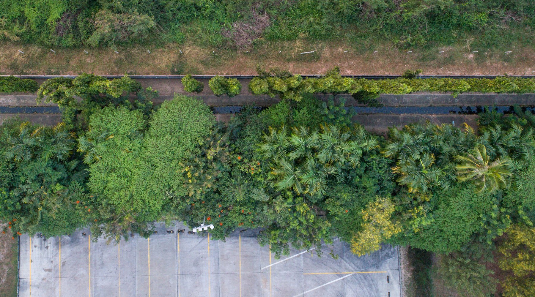 TK Studio Landscape Architecture | Planing