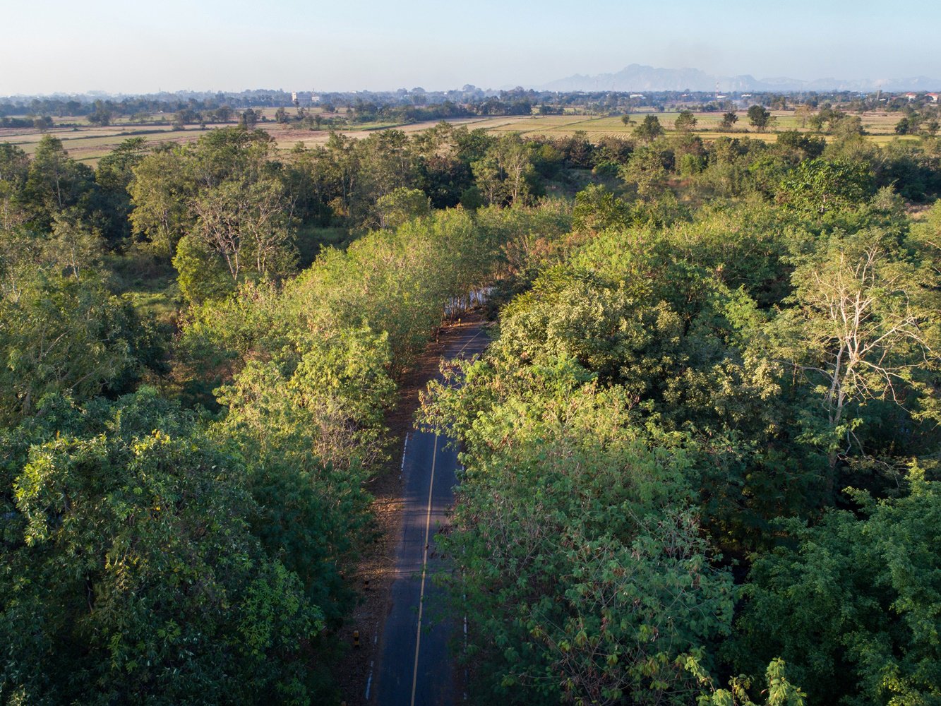 TK Studio Landscape Architecture | Planing